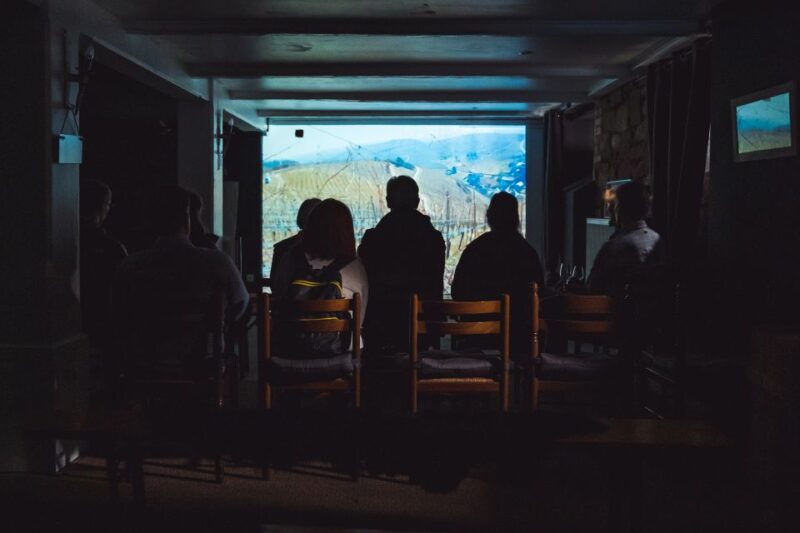 Alsace : cellar visit and Wine Time (tea time around wine) - Who This Tour Is Best For