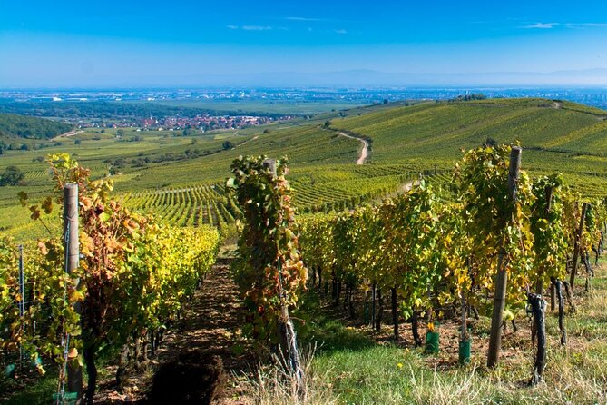 Alsace Full Day Wine Tour From Colmar - Meeting Point and Departure Details