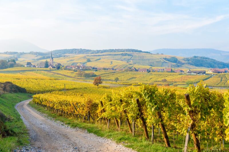 Alsace: Full-Day Wine Tour & Tastings from Strasbourg - Introduction