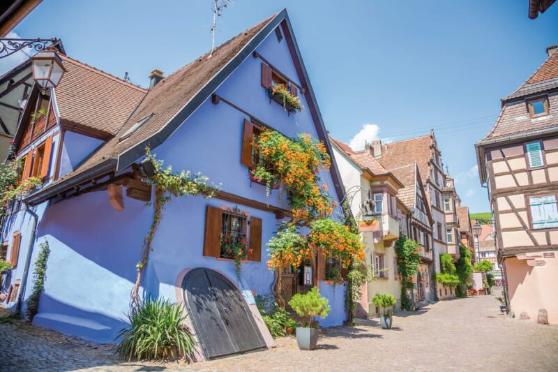 Alsace: Full-Day Wine Tour & Tastings from Strasbourg - The Sum Up
