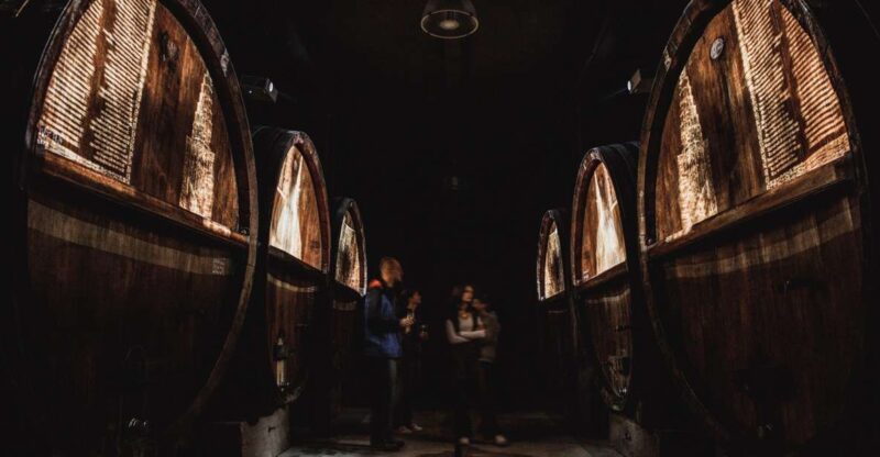 Alsace: Guided Wine Tasting and Cellar Visit - An In-Depth Look at the Tour Experience