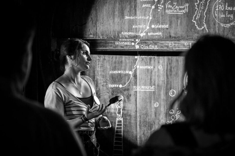 Alsace: Guided Wine Tasting and Cellar Visit - Final Thoughts