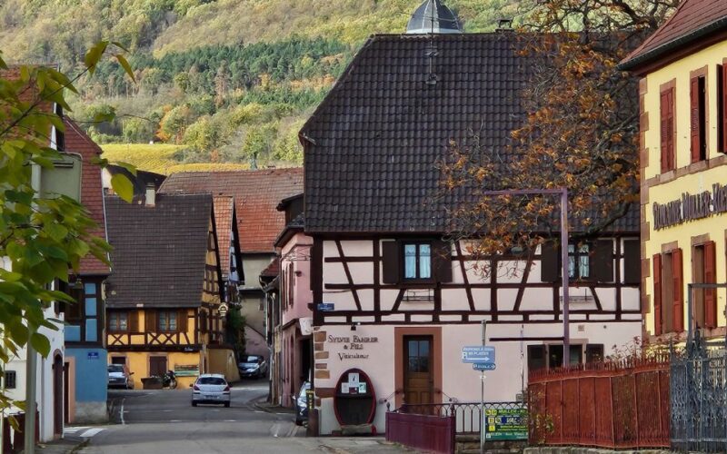 Alsace: Guided Winery Tour in Alsace - Local Wine Tasting - Booking Flexibility