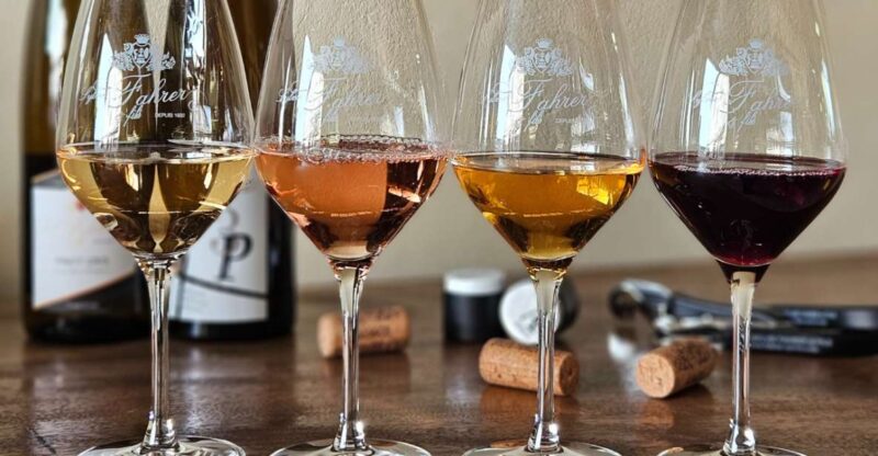 Alsace: Guided Winery Tour in Alsace - Local Wine Tasting - Since You Asked