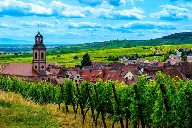 Alsace Half Day Wine Tour From Colmar - Grape Varietals and Winemaking Process