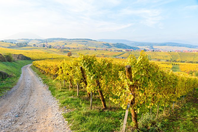 Alsace Half Day Wine Tour From Colmar - Customer Service and Communication