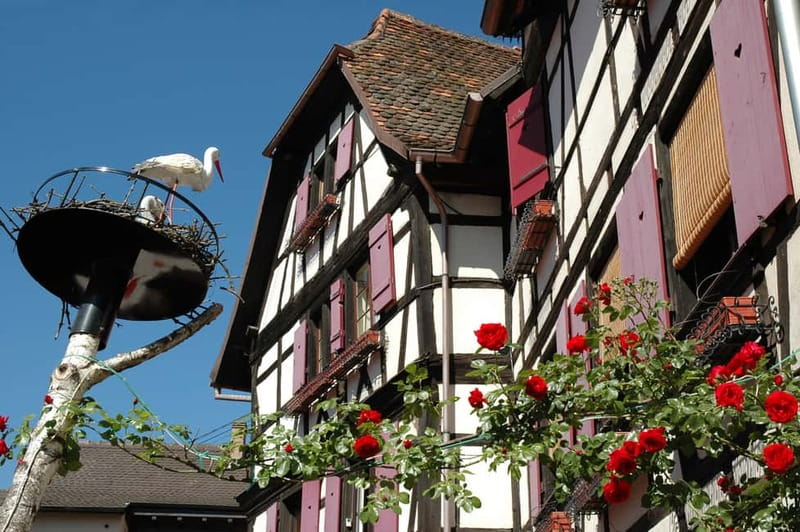 Alsace Half-Day Wine Tour from Strasbourg - The Value of the Experience