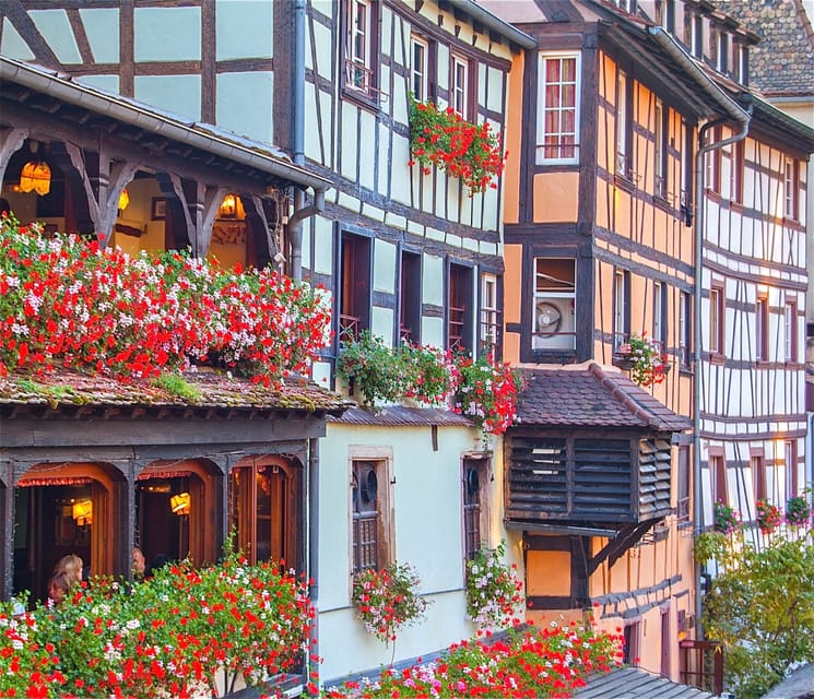 Alsace Half-Day Wine Tour from Strasbourg - Transportation and Comfort