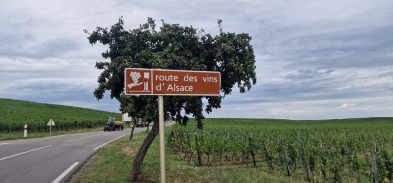 Alsace: The Legendary Wine Road Tour with Tasting and Lunch - Deep Dive into the Itinerary