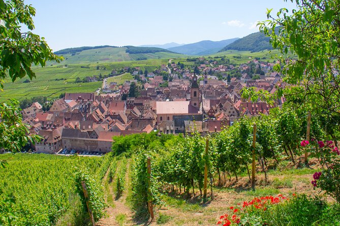 Alsace Wine Route Wineries & Tasting Small Group Guided Tour From Strasbourg - Guest Reviews and Feedback