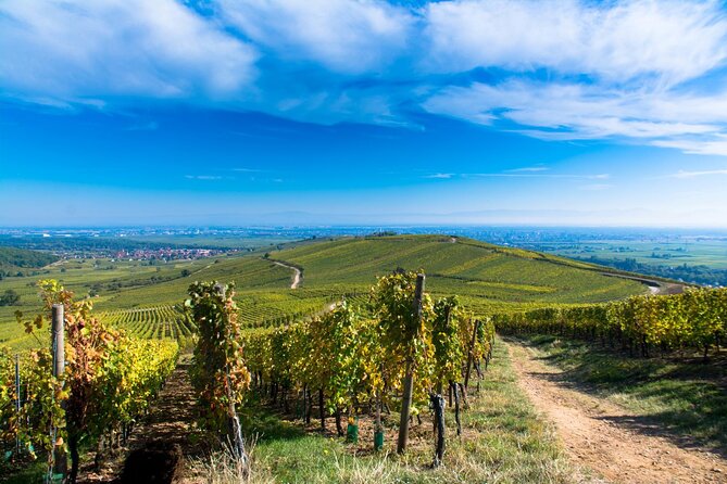 Alsace Wine Route Wineries & Tasting Small Group Guided Tour From Strasbourg - Exploring Charming Alsatian Villages