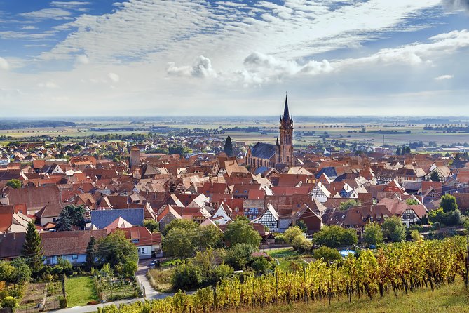 Alsace Wine Route Wineries & Tasting Small Group Guided Tour From Strasbourg - Personalized and Immersive Wine Tasting Journey