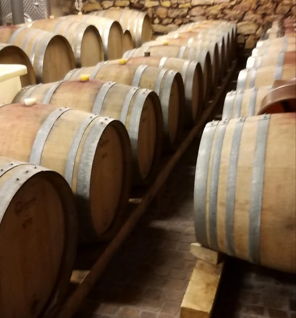 Alsace Wine Tour & Medieval Villages Small Group Guided Tour - Preparation Tips