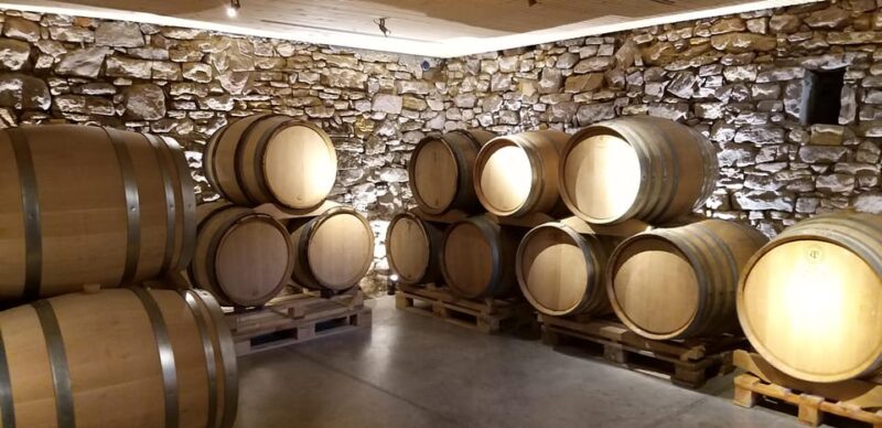 Alsace Wine Tour & Medieval Villages Small Group Guided Tour - Exploring Alsaces Celebrated Routes Des Vins