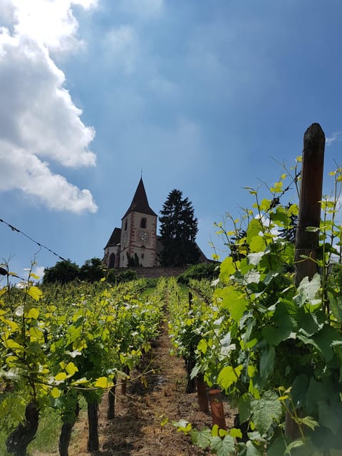 Alsace Wine Tour & Medieval Villages Small Group Guided Tour - Experiencing Artisanal Winery Tastings