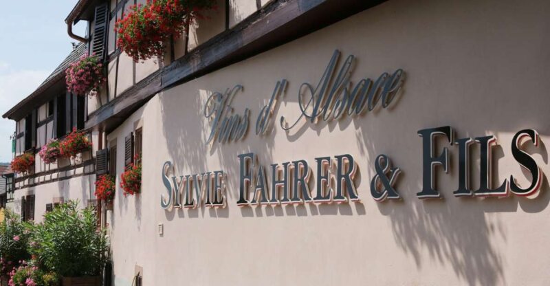 Alsace: Winery Tour & Tasting - Tour Options