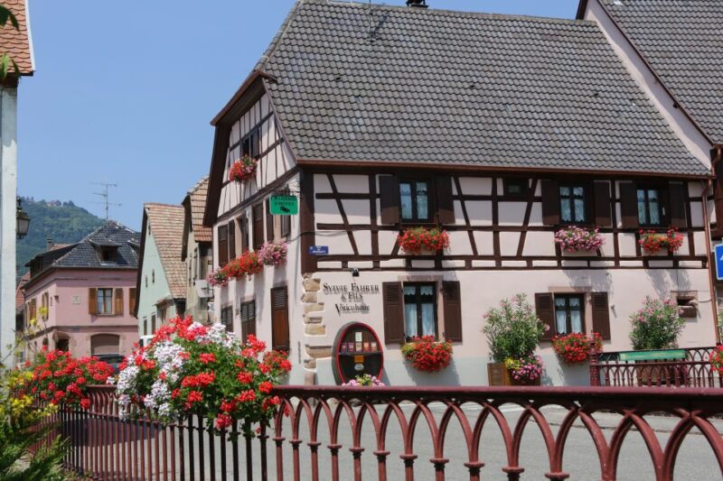 Alsace: Winery Tour & Tasting - Guided Winery Tour & Tasting