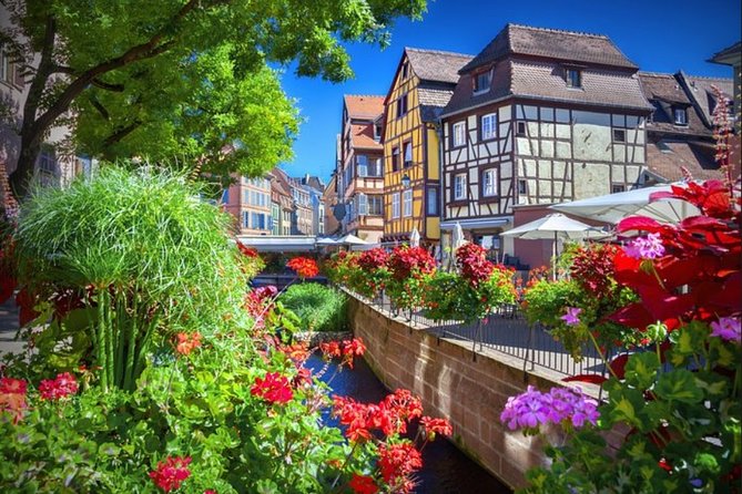 Alsace's Gems Small Group Day Tour From Colmar - Feedback and Reviews