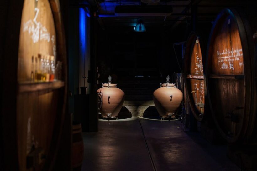 Alsatian brunch with Immersive cellar tour - The Wine Tasting and Video Introduction