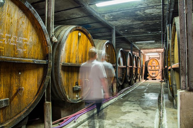 Alsatian brunch with immersive cellar tour - The Sum Up: Who Will Love This Tour?