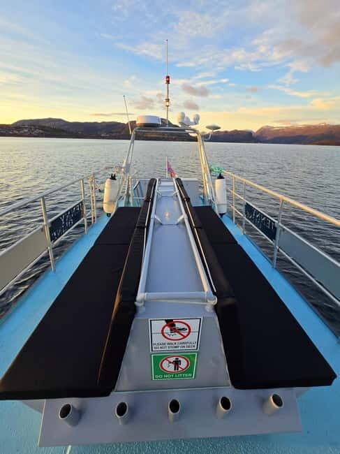 Alta Fjord: Private Sunset Boat Tour - A Closer Look at the Itinerary