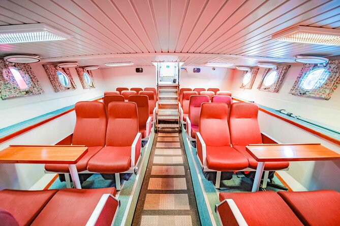 Alta Fjord Whale Watching on a Heated Boat - What to Expect From the Whale Watching Tour