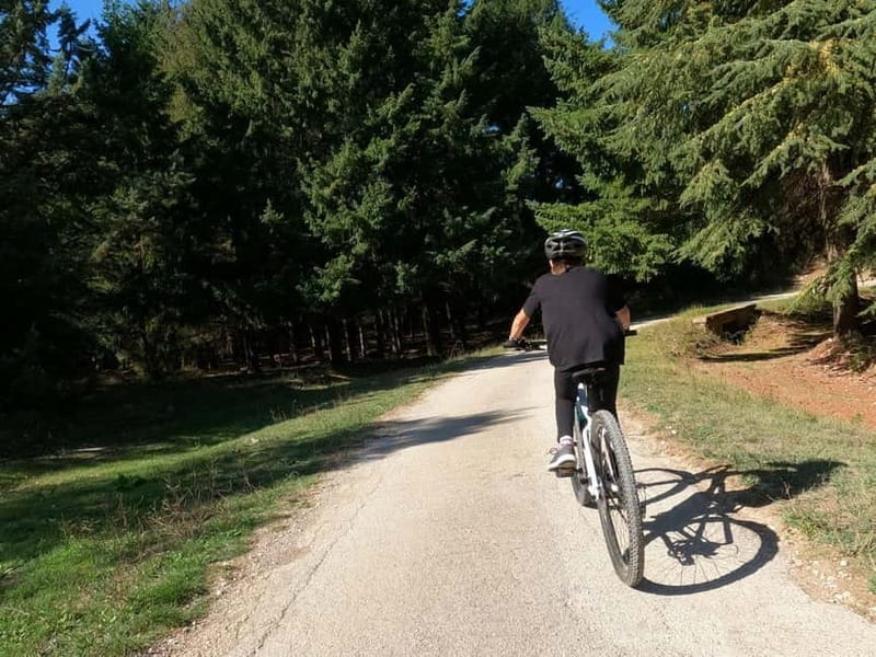 Alta Murgia: E-Bike Tour with Panoramic Aperitivo in Nature - Authentic Experiences and Authentic Views