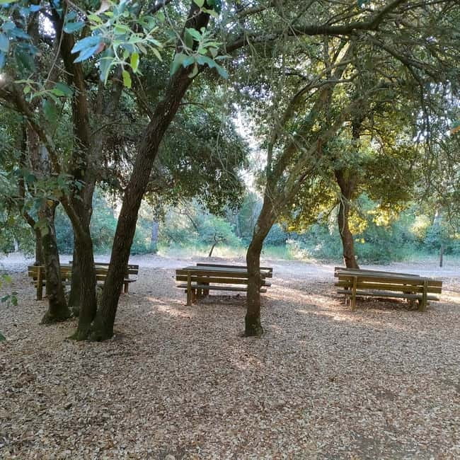 Alta Murgia: E-Bike Tour with Panoramic Aperitivo in Nature - FAQs