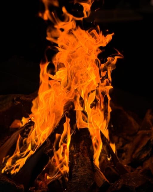 Alta: Sami Cultural experience - Lavvu - Reindeers - An In-Depth Look at the Sami Cultural Experience in Alta