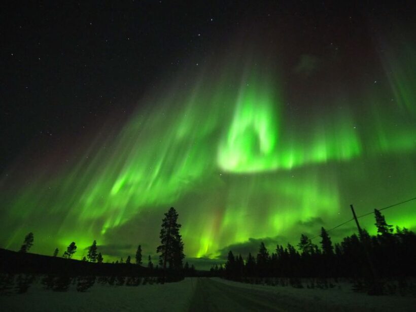 Alta: Small-Group Guided Northern Lights Tour - An In-Depth Look at the Tour Experience