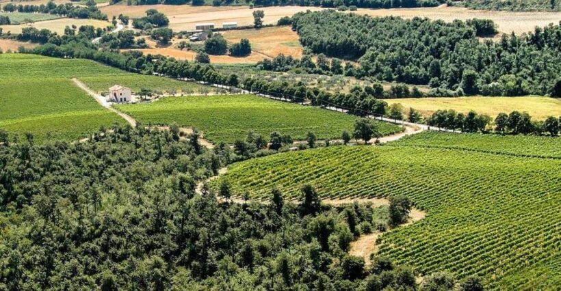 Alta Tuscia eBike tour with visit to Antica Cantina Leonardi - Key Points