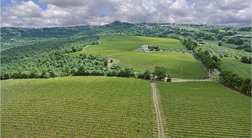Alta Tuscia eBike tour with visit to Antica Cantina Leonardi - Exploring the Itinerary: What to Expect