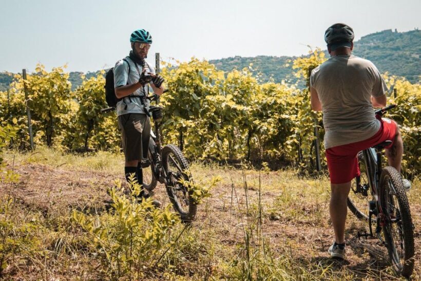 Alta Tuscia eBike tour with visit to Antica Cantina Leonardi - Who Is This Tour Best For?