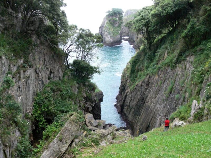 Altamira Museum Historical Journey through Santilana del Mar - Who Should Consider This Tour?