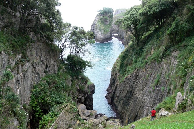 Altamira Museum - Historical Journey through Santillana del Mar - What Travelers Say