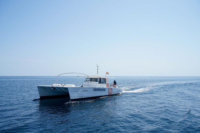 Altea: Catamaran Tour with Sunset Option - Who Should Book This?