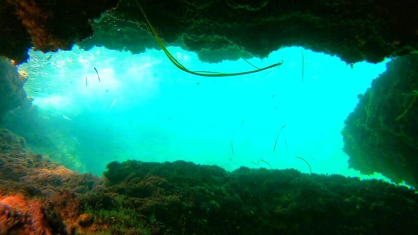Altea: Guided Kayak Tour - Who Should Consider This Tour?