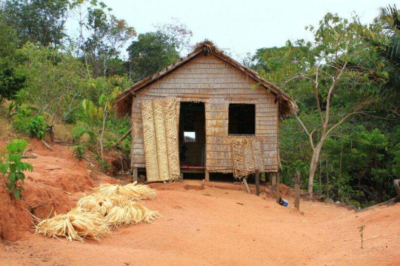 Alter do Chão: Arapiuns River and Urucureá Village Boat Tour - Key Points