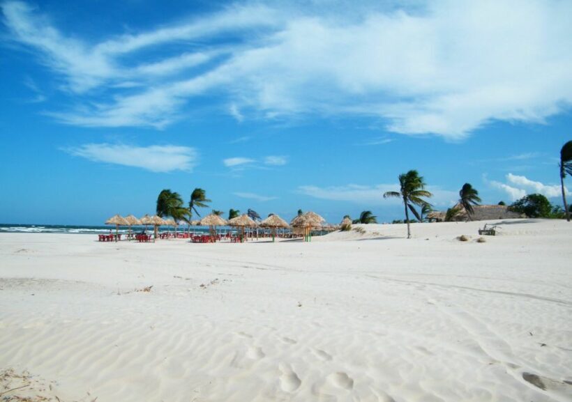 Alter do Chão: Arapiuns River and Urucureá Village Boat Tour - FAQ