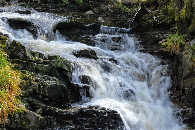 Alternative Loch Ness Tour by Secret Highlands - Experiencing a Personalized Small-Group Adventure