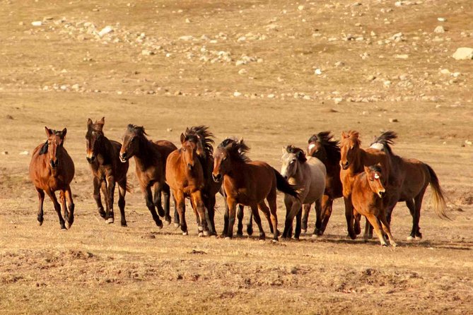 Altinbesik Cave Tour Ormana and Villages - Who Should Consider This Tour?