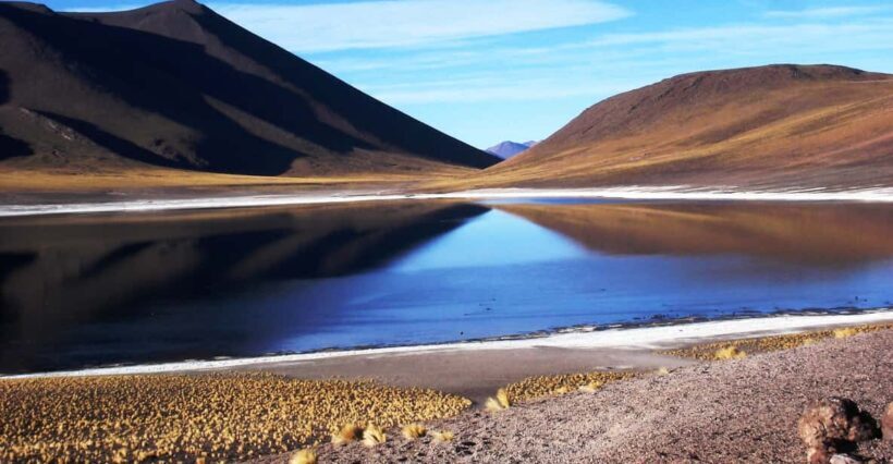 Altiplanic Lagoons and Red Stones from San Pedro de Atacama - A Full-Day Tour of the High Andes
