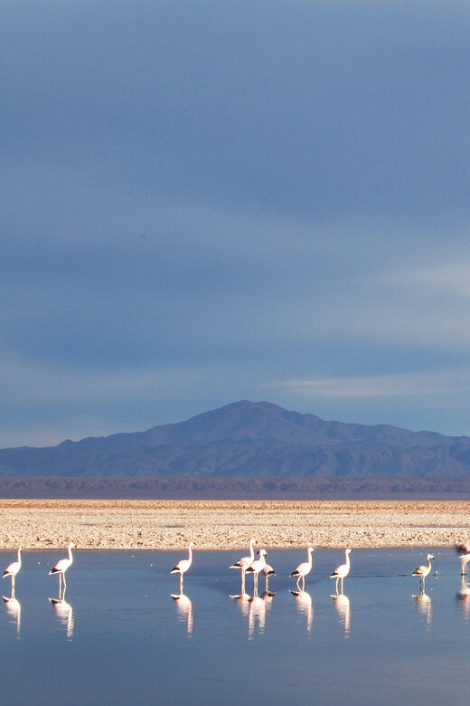 Altiplanic Lagoons and Red Stones from San Pedro de Atacama - FAQ
