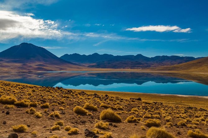 Altiplanic Lagoons & Piedras Rojas Tour From San Pedro De Atacama - Key Points
