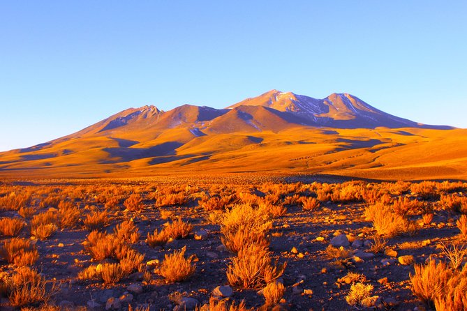 Altiplanic Lagoons & Piedras Rojas Tour From San Pedro De Atacama - Witnessing the Andean Flamingos