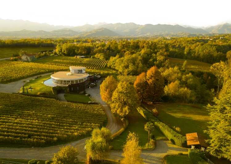 Alto Piemonte: Classic Wine Tasting - Authenticity and Local Flavor