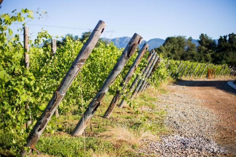 Alto Piemonte: Private Wine Tasting - Alto Piemonte: Private Wine Tasting — A Genuine Taste of Italian Elegance