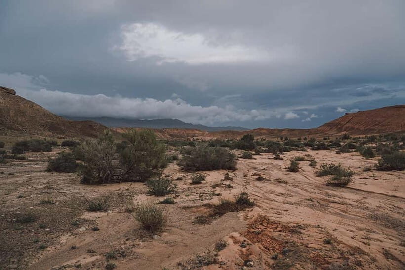 Altyn-Emel National Park: 1-Day Adventure - Key Points