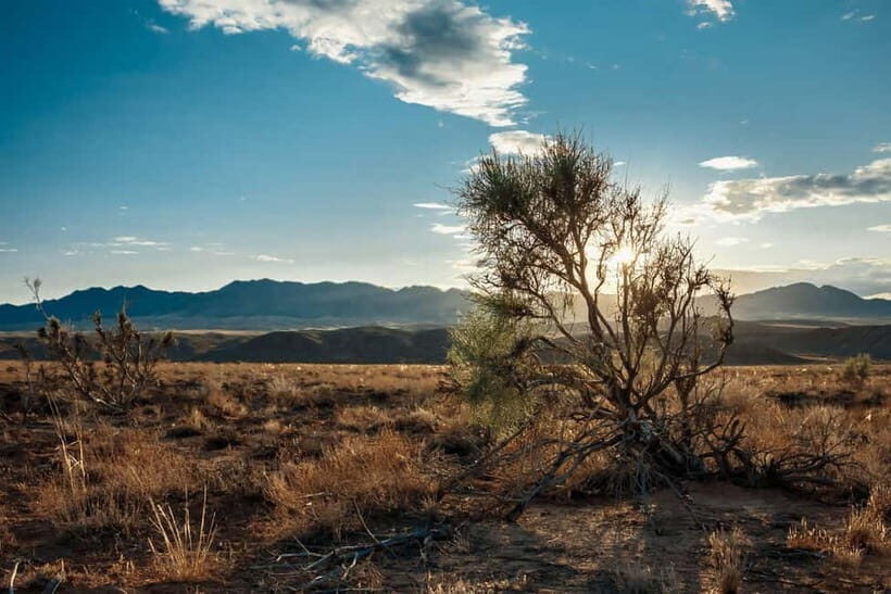 Altyn-Emel National Park: 1-Day Adventure - What to Bring and Wear