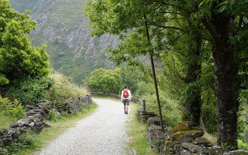 ALVÃO SHEPHERD'S HIKE - A Closer Look at the Alvão Shepherds Hike